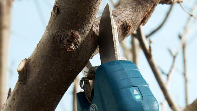 Sécateur sans fil - classement des meilleurs appareils | rotopino.fr